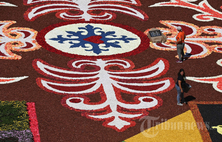 Melihat Indahnya Karpet Bunga di Grand Place Brussel, Foto 6 #1934562 ...