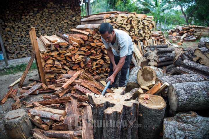 Membelah Kayu Bakar Pabrik Kopi Tradisional, Foto 2 #1640598 ...