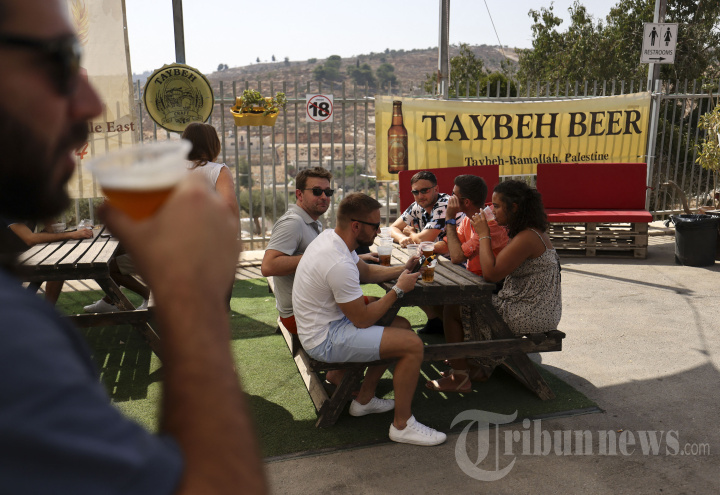 Mengenal Taybeh, Bir Halal dari Palestina, Foto 5 #1937379 - TribunNews.com