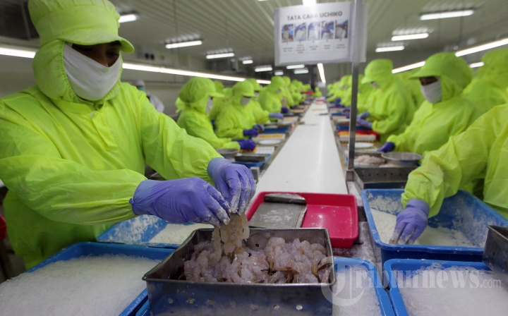 Mengintip Pabrik Pengolahan Udang Beku di Situbondo, Foto 6 #1743489 ...