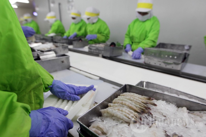 Mengintip Pabrik Pengolahan Udang Beku di Situbondo, Foto 11 #1743494 ...