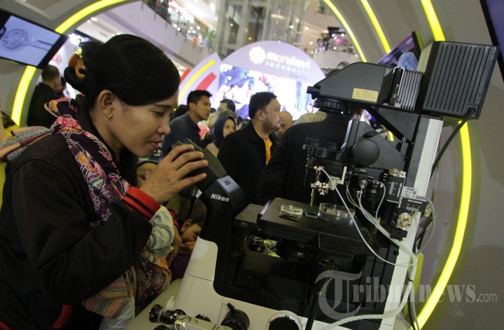 Morula IVF Indonesia, Foto 1 #1768736 - TribunNews.com