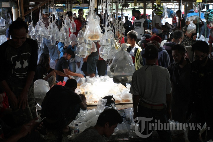 Pasar Hias Parung Ramai Pengunjung, Foto 8 #1852398 - TribunNews.com