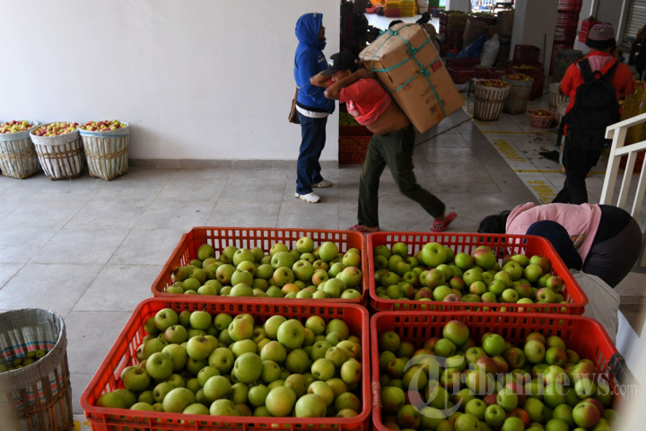 Pasar Induk Among Tani Dibuka untuk Umum, Foto 5 #1979090 - TribunNews.com