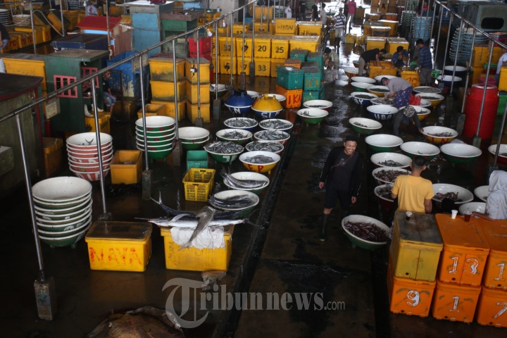 Pedagang Ikan Pasar Ikan Muara Angke Jakarta, Foto 1 #1870186 ...
