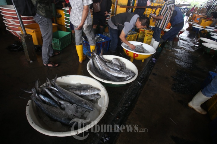 Pedagang Ikan Pasar Ikan Muara Angke Jakarta, Foto 4 #1870189 ...