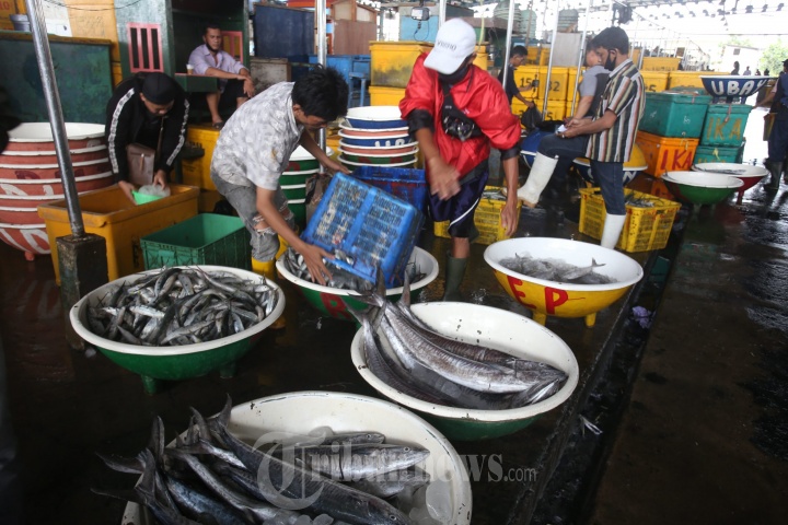 Pedagang Ikan Pasar Ikan Muara Angke Jakarta, Foto 5 #1870190 ...