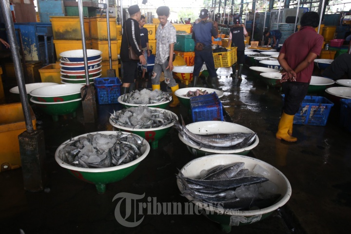 Pedagang Ikan Pasar Ikan Muara Angke Jakarta, Foto 7 #1870192 ...