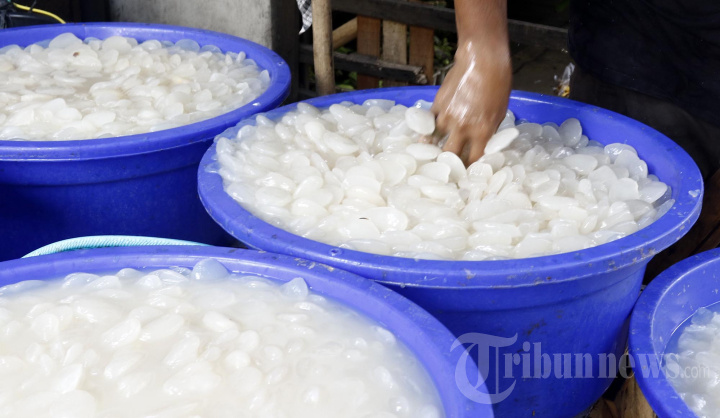 Pedagang Kolang Kaling di Pasar Lembang Ciledug, Foto 6 #1921150 ...
