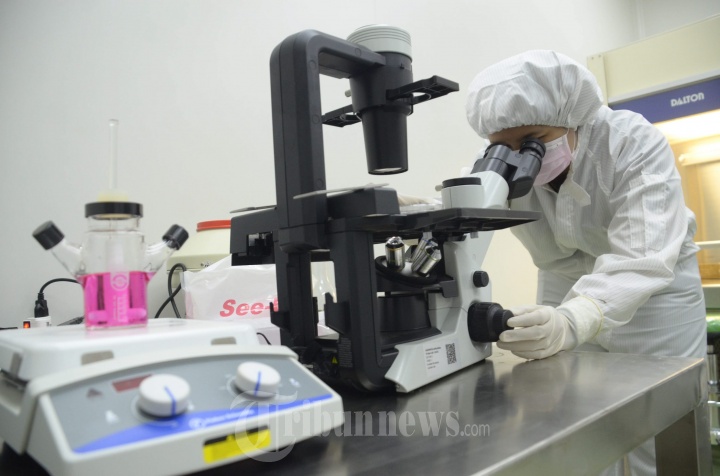 Peneliti Melakukan Riset di Laboratorium Riset Stem Cell, Foto 9 ...