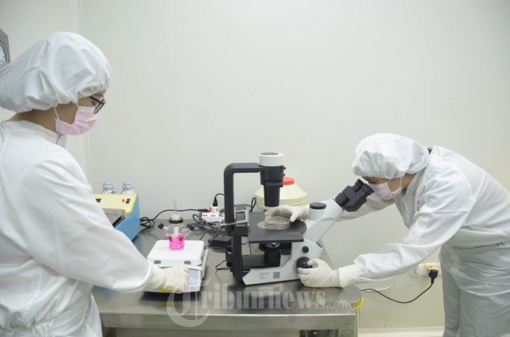 Peneliti Melakukan Riset di Laboratorium Riset Stem Cell, Foto 10 ...
