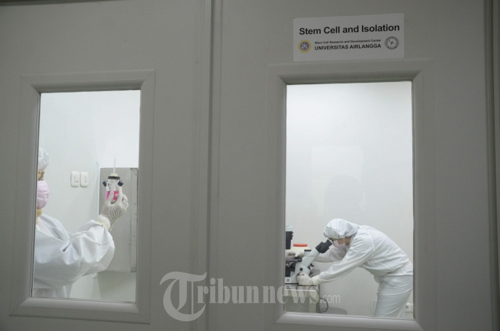 Peneliti Melakukan Riset di Laboratorium Riset Stem Cell, Foto 15 ...