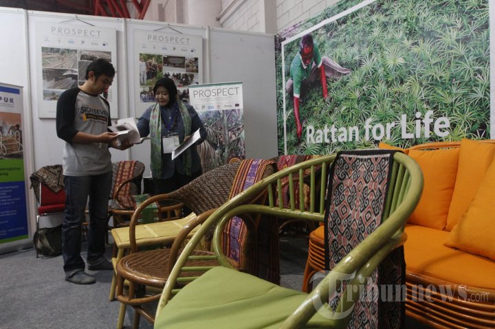 Pengembangan Industri Rotan Indonesia, Foto 3 #1672516 - TribunNews.com