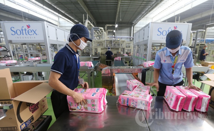 Pengembangan Pabrik PT Softex Indonesia, Foto 2 #1825655 - TribunNews.com