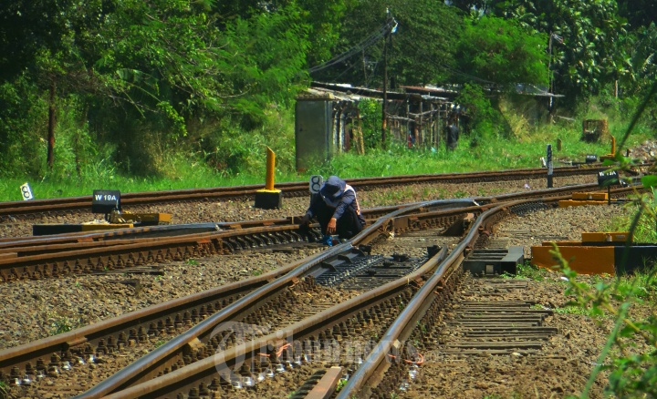 Petugas KAI Bersihkan dan Memberi Pelumas Wesel Rel Kereta Api, Foto 2 ...