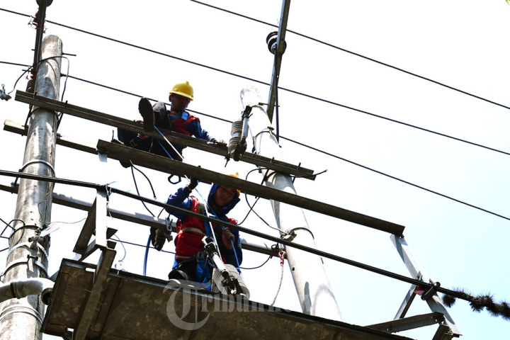 Petugas PLN Malang Lakukan Perawatan Jaringan Listrik, Foto 4 #1938704 ...