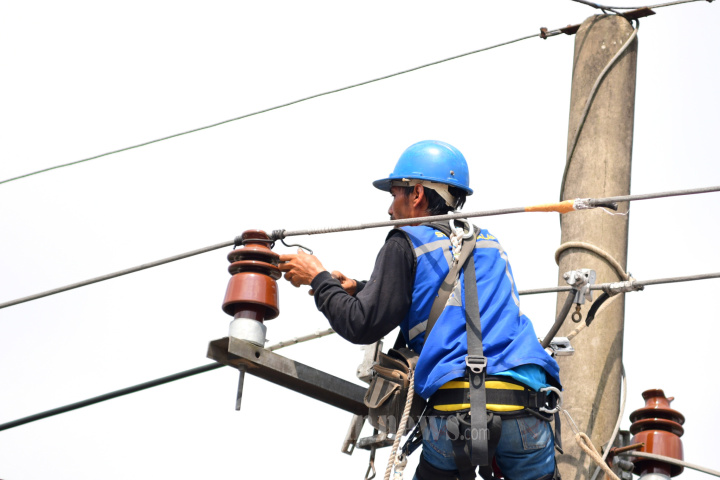 Petugas PLN Melakukan Pemeliharaan Jaringan Listrik, Foto 4 #1936765 ...