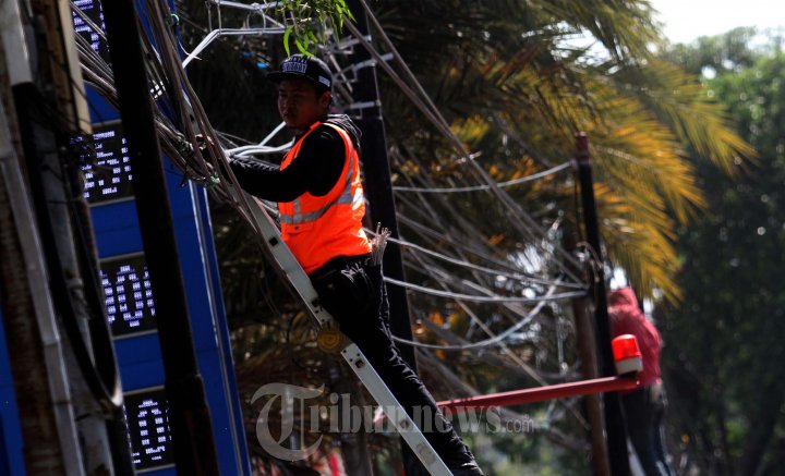 Petugas PLN Merapikan Kabel Listrik, Foto 3 #1663309 - TribunNews.com