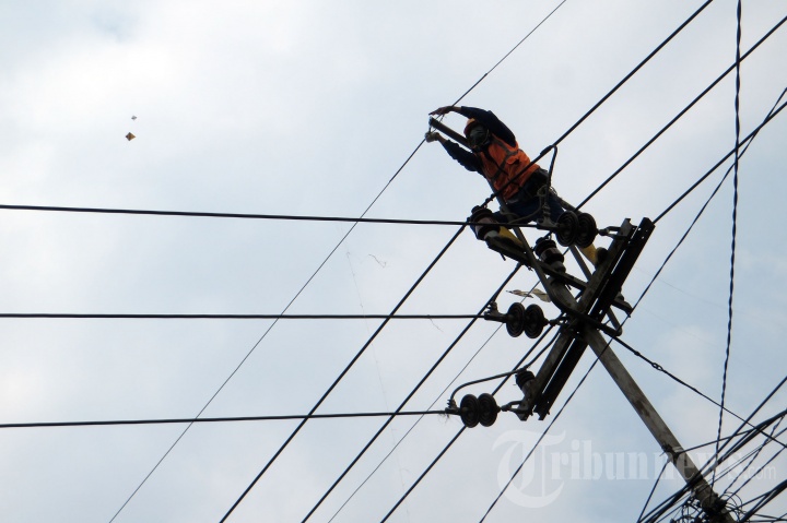 PLN Pasang Ground Wire Steel (GWS) Melindungi Kabel dari Benang ...