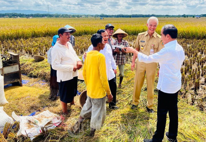 Presiden Jokowi Kunjungan Kerja Tinjau Panen Raya Padi di Kebumen, Foto 1 #1959631 - TribunNews.com