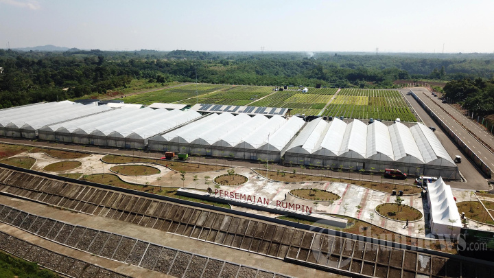 Presiden Jokowi Resmikan Persemaian Modern Rumpin, Foto 1 #1926881 ...