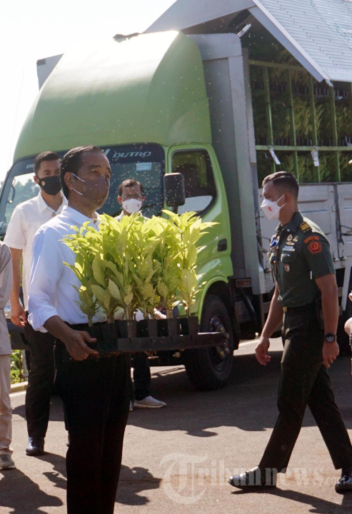 Presiden Jokowi Resmikan Persemaian Modern Rumpin, Foto 7 #1926896 ...