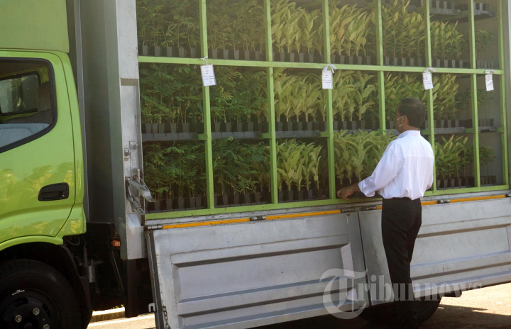 Presiden Jokowi Resmikan Persemaian Modern Rumpin, Foto 9 #1926898 ...