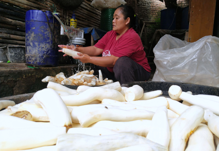 Produksi Keripik Singkong Pak Ade, Foto 3 #1950636 - TribunNews.com
