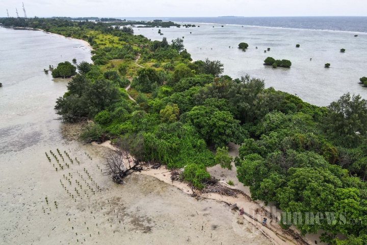 Pulau Pari Melawan Naiknya Permukaan Laut, Foto 7 #1960584 - TribunNews.com