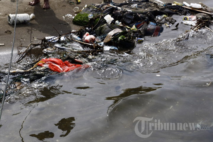 Pulau Reklamasi Pulau G yang Ditetapkan Anies jadi Pemukiman, Foto 2 ...