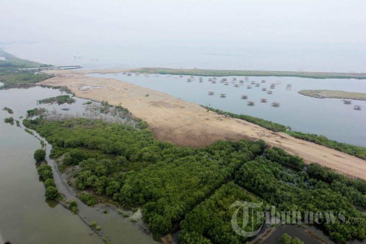 Reklamasi Pantai Utara Jawa Tengah, Foto 2 #1461882 - TribunNews.com