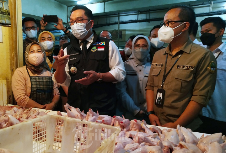 Ridwan Kamil Cek Harga Kebutuhan Pokok di Pasar Baltos, Foto 2 #1938070 - TribunNews.com