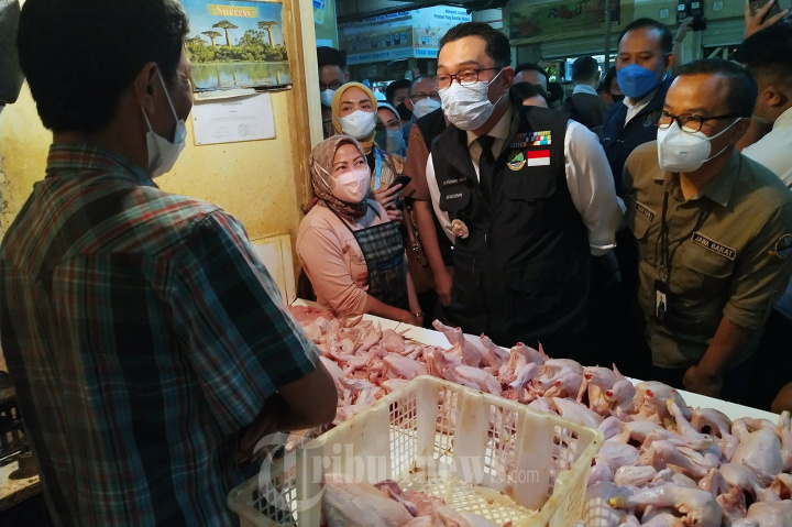 Ridwan Kamil Cek Harga Kebutuhan Pokok di Pasar Baltos, Foto 3 #1938071 - TribunNews.com