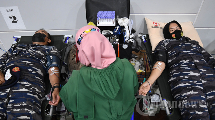 Sambut HUT Ke-76 TNI AL, Koarmada II Gelar Donor Darah, Foto 10 #1893249 - TribunNews.com