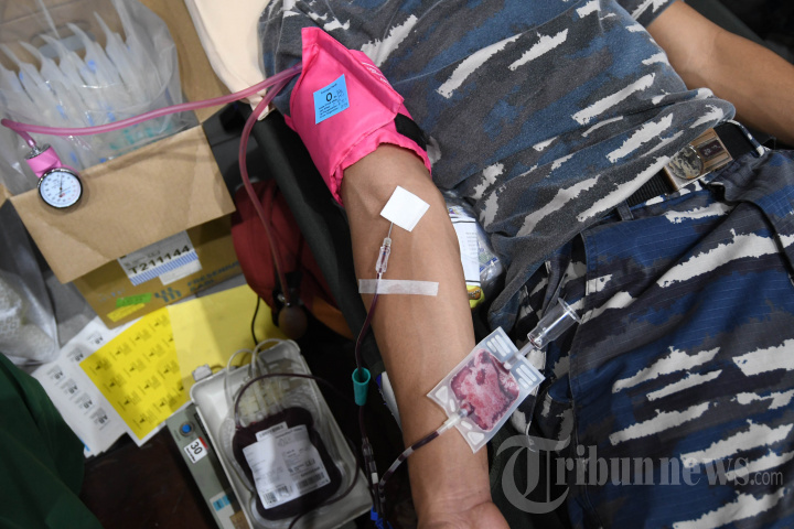 Sambut HUT Ke-76 TNI AL, Koarmada II Gelar Donor Darah, Foto 12 #1893251 - TribunNews.com