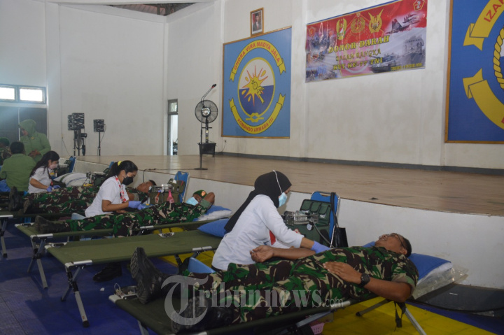Sambut HUT TNI Ke-77, Danrem 174/ATW Merauke Ikut Donor Darah, Foto 4 #1940619 - TribunNews.com