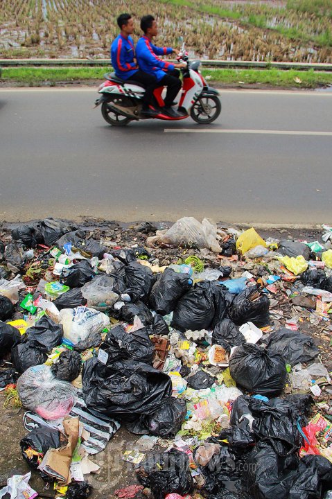Sampah Menumpuk di Pinggir Jalan, Foto 1 #1637900 - TribunNews.com