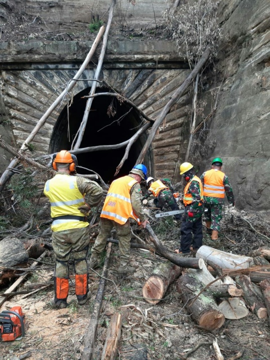 Satgas Garuda TNI Bush Fire Assist TNI Buka Jalur Rel Kereta Zig, Foto ...