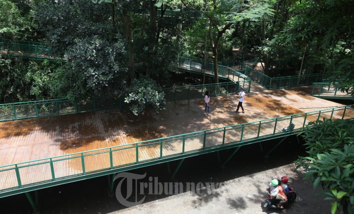 Skywalk Babakan Siliwangi (Baksil) Bandung, Foto 5 #1688537 ...