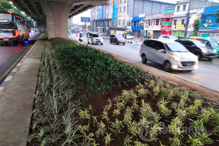 Taman di Bawah Flyover Kopo Bandung, Foto 4 #1959020 - TribunNews.com