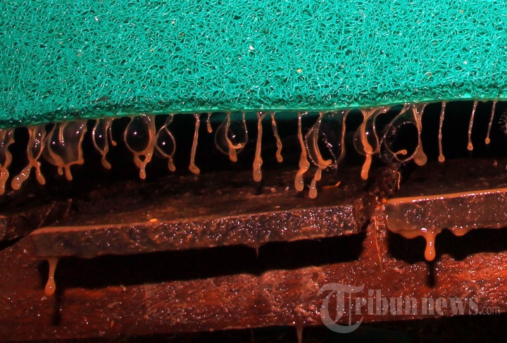 Tambang Timah di Bangka, Foto 11 #1762219 - TribunNews.com