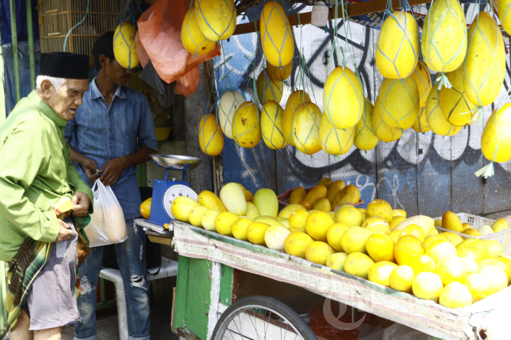 Timun Suri, Buah Khas Bulan Ramadan, Foto 8 #1962759 - TribunNews.com