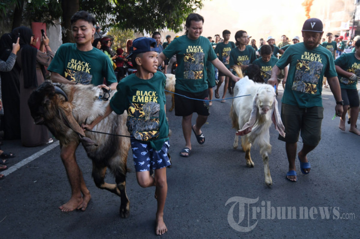 Tradisi Arak-arakan Hewan Kurban, Foto 2 #1998952 - TribunNews.com