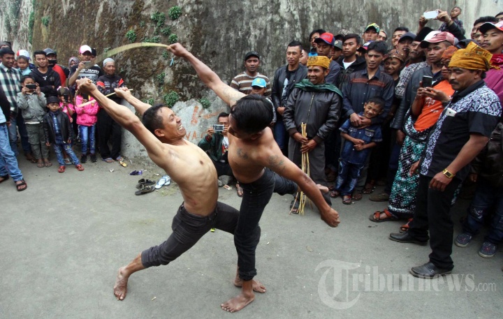 Tradisi Ojung Mempererat Persaudaraan Suku Tengger, Foto 6 #1717840 ...