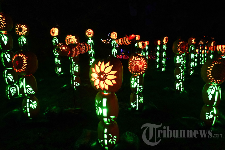 Uniknya Ukiran Labu Halloween di Great Jack O Lantern Blaze, Foto 5 ...
