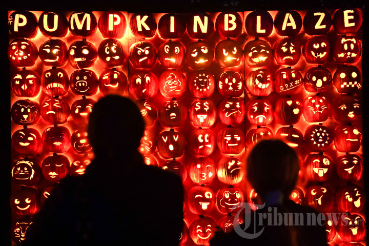 Uniknya Ukiran Labu Halloween di Great Jack O Lantern Blaze, Foto 10 ...