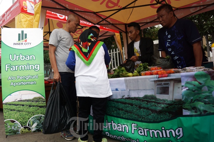 Urban Farming Inner City Management, Foto 1 #1736134 - TribunNews.com