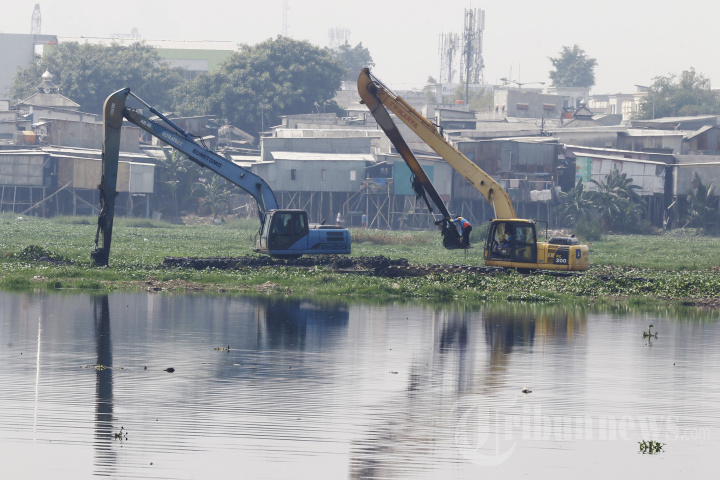 Waduk Pluit Dipenuhi Eceng Gondok, Foto 1 #1971940 - TribunNews.com