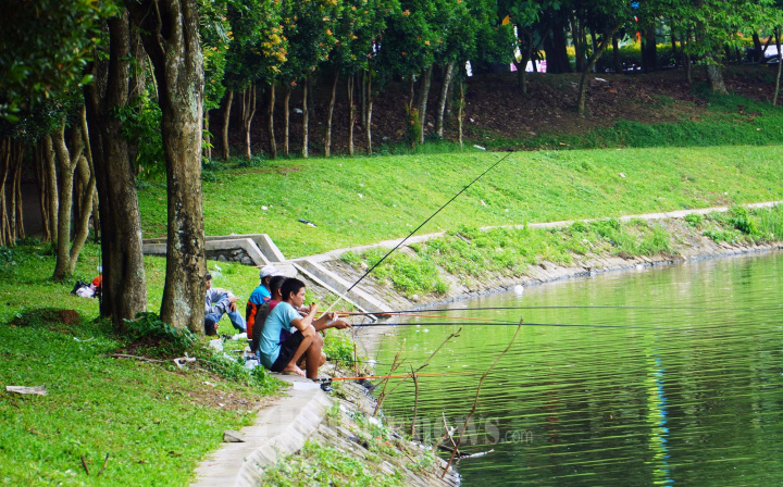 Warga Menjaring dan Memancing Ikan di Danau Tiga Raksa, Foto 4 #1941379 ...
