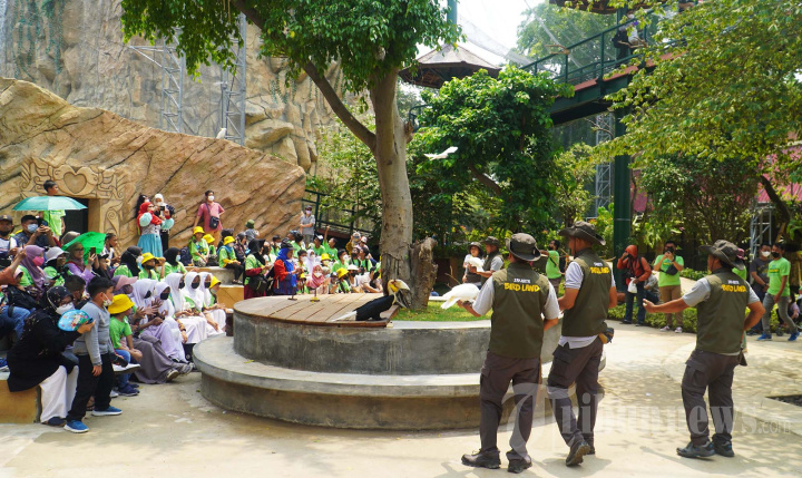 Wisata di Jakarta Bird Land Ancol, Foto 1 #1943980 - TribunNews.com